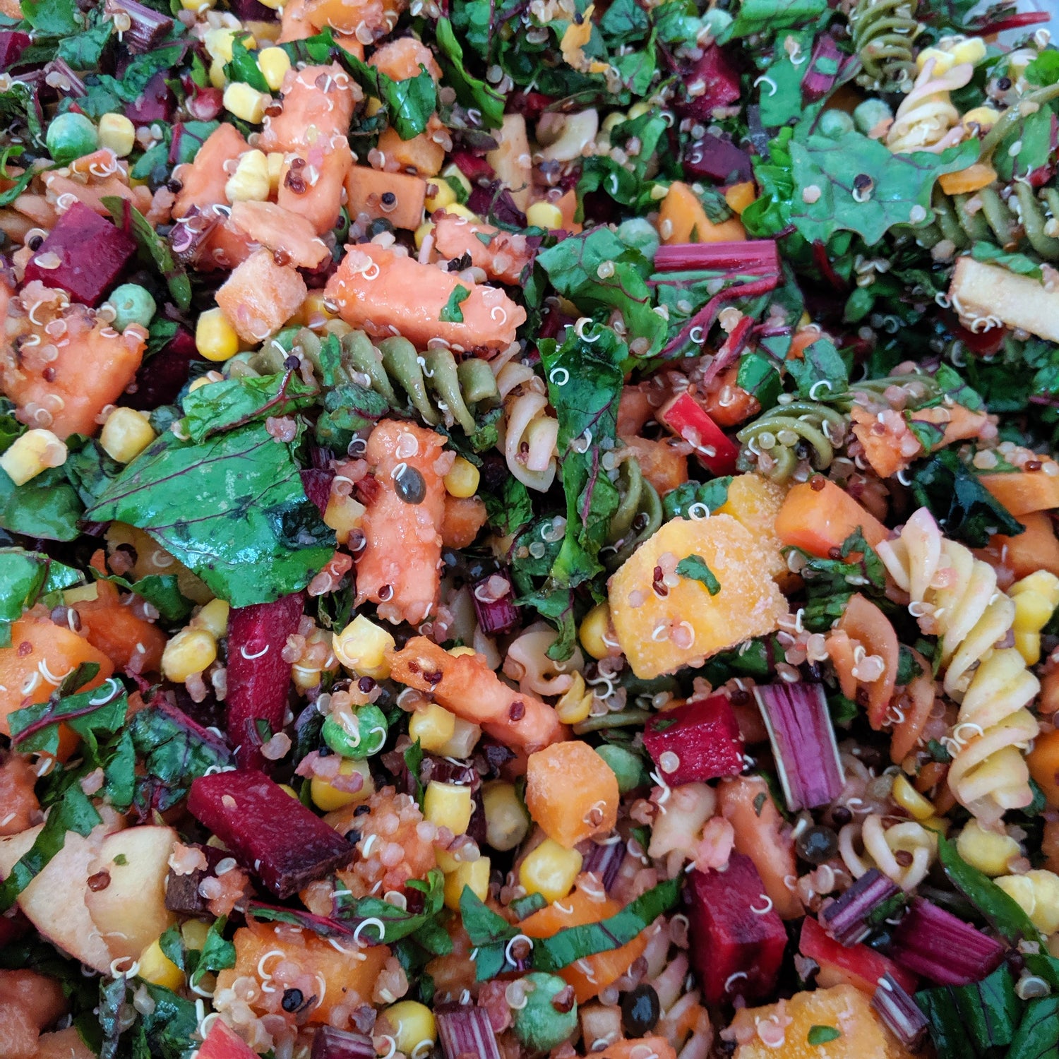 My Chop "Recipe" – Lil Monsters Bird Toys