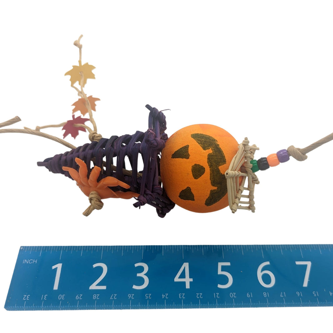 Lil Monsters Bird Toys